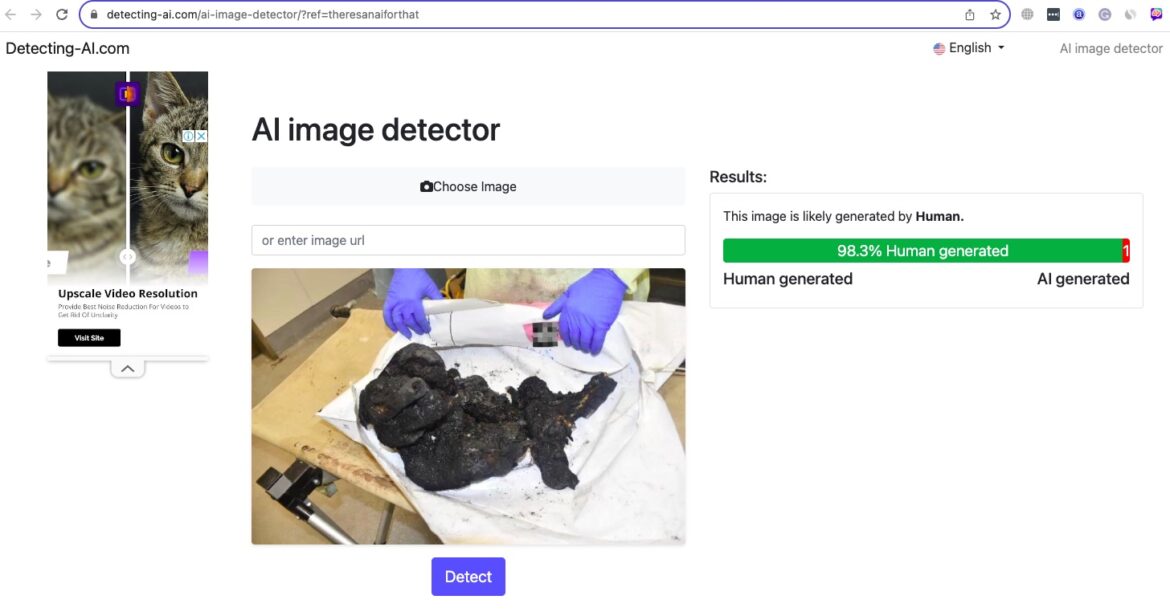 Aljazeera Fake News Investigation: Burned babies and an AI-generated ...